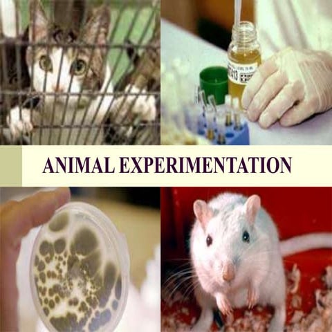 Animal experimentation | PPT