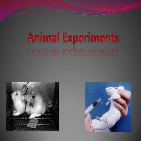 Animal experiments | PPTX