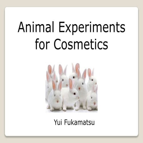 Animal experiments for cosmetics yui fukamatsu | PPT