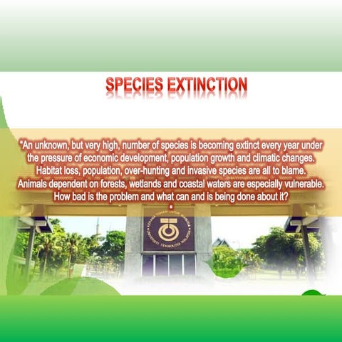 Animal extinction | PPT