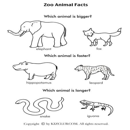 Animalfact | PDF | Zoos & Aquariums | Attractions