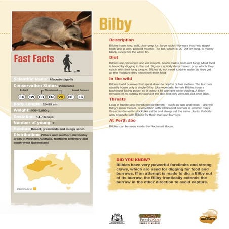 Zoo Animal Fact Sheets Zoo Animals Fact Cards Etsy UK