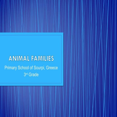 Animal Families | PPT
