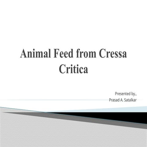 Formulation and Evaluation Animal Feed from Cressa Critica.pptx
