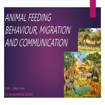 Animal Feeding Behaviour Migration and communication.pptx