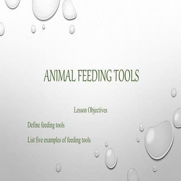 Animal Feeding Tools.pptx