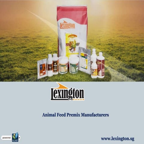 Animal Feed Premix Manufacturers | PPTX