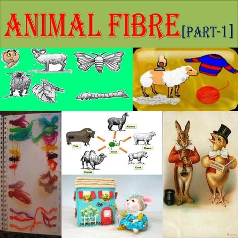 Animal fibre | PDF