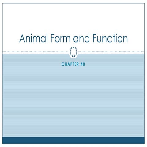 Animal form and function | PPTX