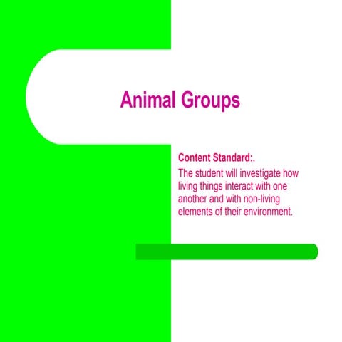 Animalgroups | PPT