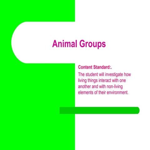 Animals | PPT