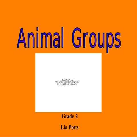 Animal Groups PPT | PPT