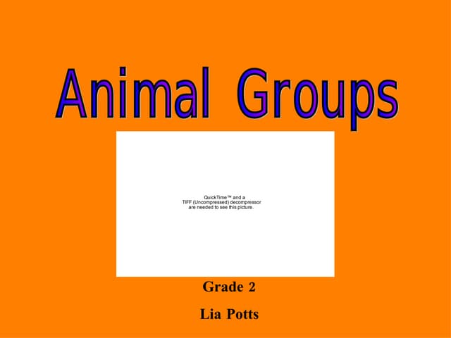 Animal Groups Basal Reader | PPTX