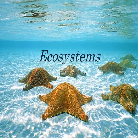 Ecosystems powerpoint | PPTX