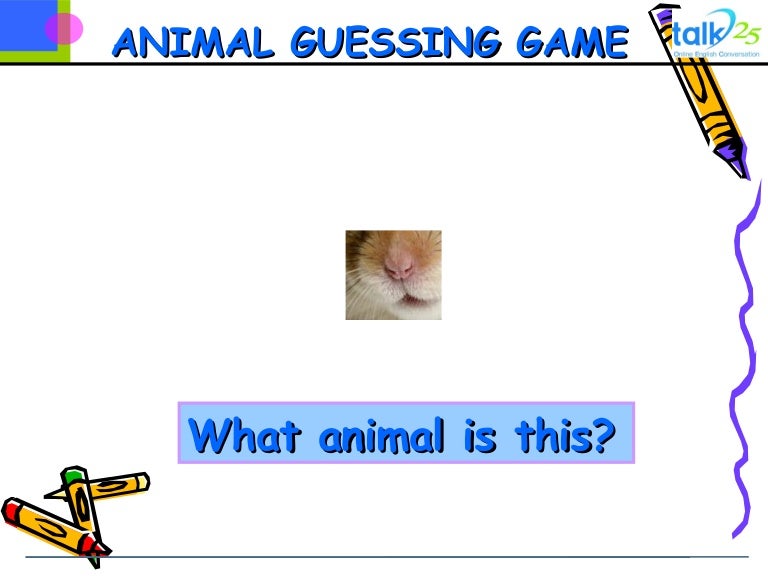 Animal guessing game