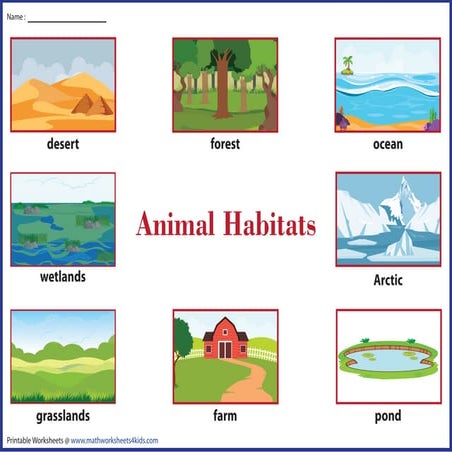animals and their habitats.pdf