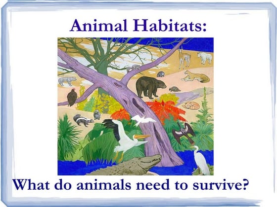 Animal habitats | PPT