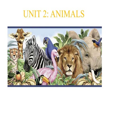Animal habitats. lessons one and two. | PPTX