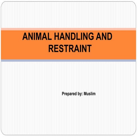 Animal handling And retrain | PPTX