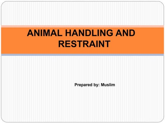 Animal handling & Restrain | PPT