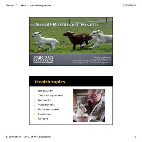 Small Ruminant Health | PDF | Foot Health | Diseases and Conditions