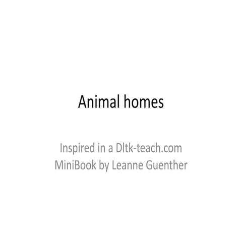 Animal homes | PPTX