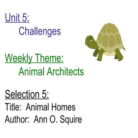 Animal Homes Focus Wall | PPT