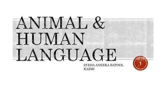 Human Language vs Animal Communication | PPT