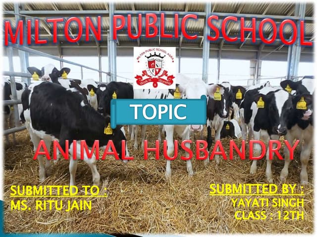1 B- ANIMAL HUSBANDARY-Full.CLASS 9 CBSE x | PPTX