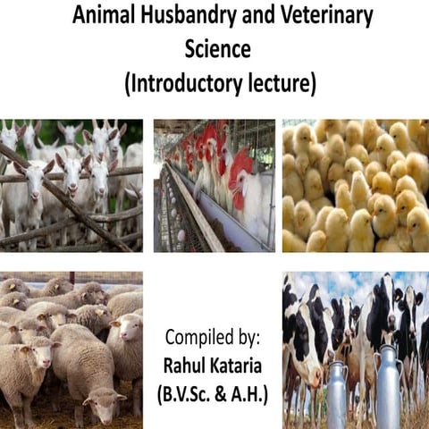 Animal Husbandry and Veterinary Science | PPTX