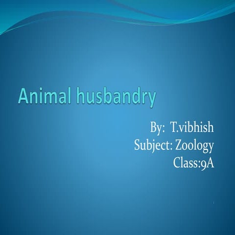 Animal husbandry | PPTX