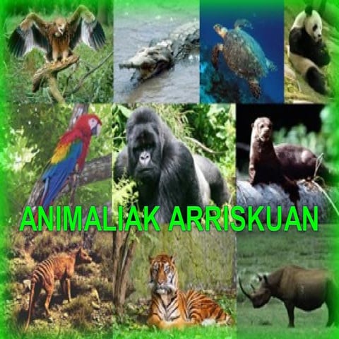 Animaliak | PPT