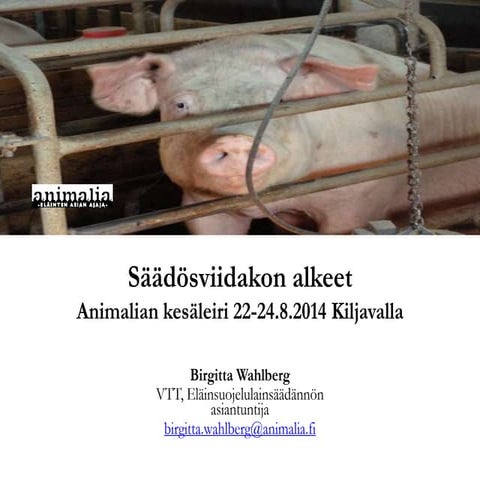 Animalia säädösviidakon alkeet | PPT