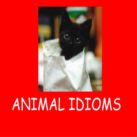 Animal idioms | PPT