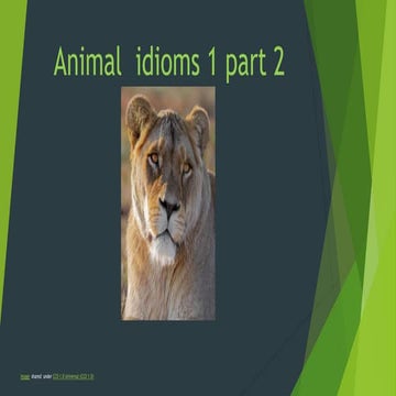 Animal idioms | PPT