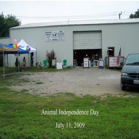 Animal Independence Day | PPT
