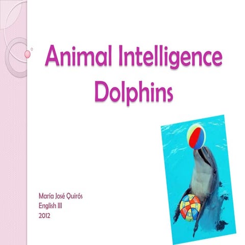 Animal intelligence | PPT