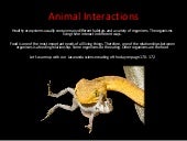 Interaction of Living Things | PPTX | Biological Sciences | Science