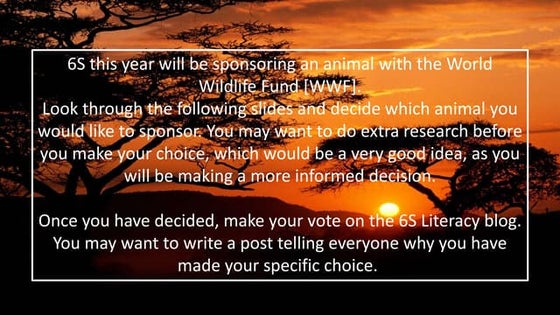 Endangered animals poster | DOCX