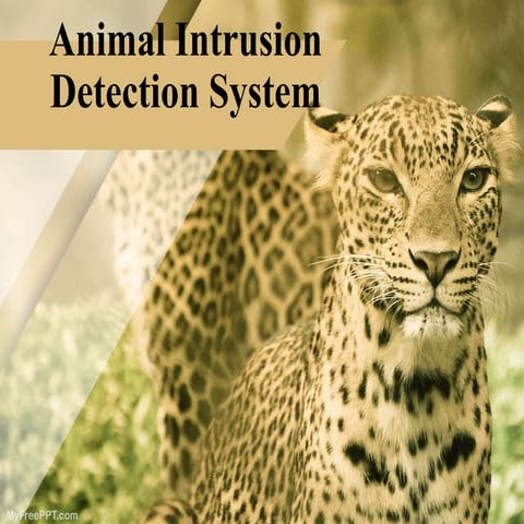 Animal intrusion detection system | PPT