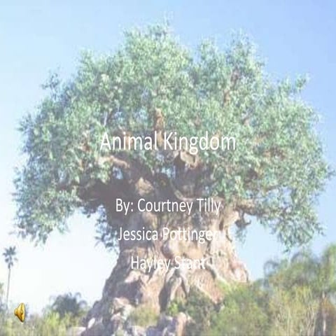 Animal Kingdom | PPT