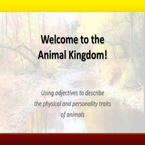 Animal kingdom | PPT