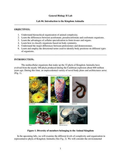 3. Grade-7-SLM-Q2-Module-2-Levels-of-Biological-Organization-2nd-Ed.pdf ...