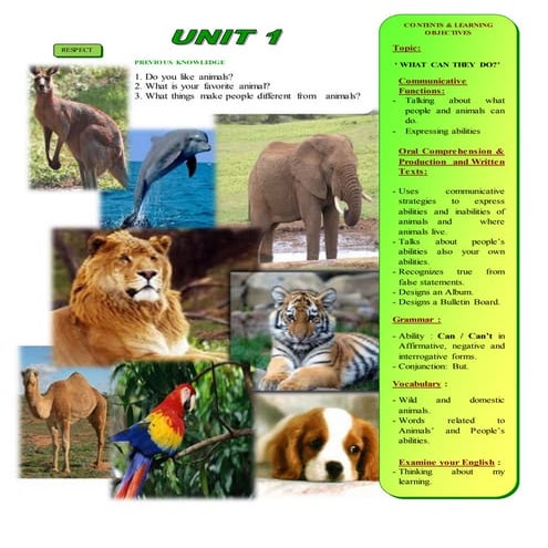 Animal kingdom | DOCX | Reptiles | Pets