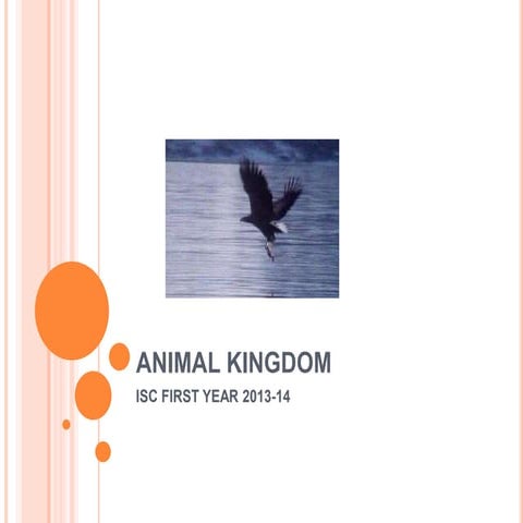 Animal kingdom | PPTX