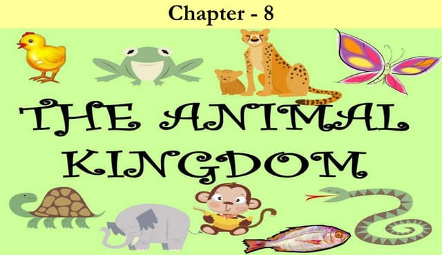 Animals third grade | PPTX
