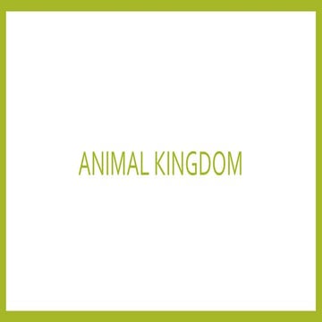 ANIMAL KINGDOM.pptx