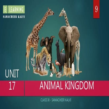 Animal Kingdom Part 2 | PPTX
