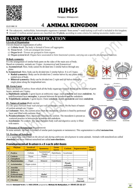 BIOLOGY ANIMAL KINGDOM CLASS. 11 NCERT.. | PPTX