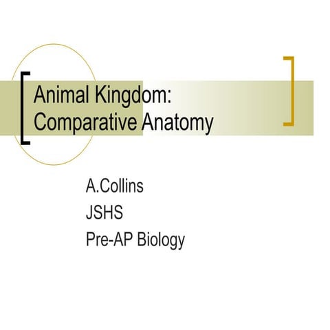 Comparative Anatomy | PPT